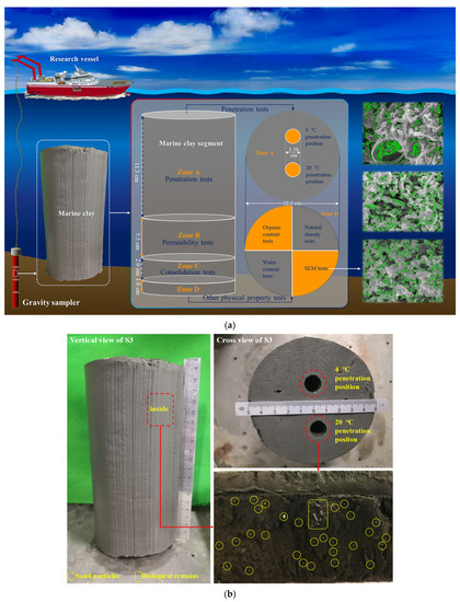 Effect of Low Temperature on the Undrained Shear Strength of Deep-Sea ...