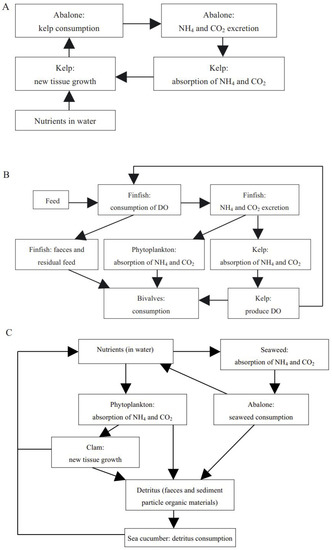 Review of the Status and Developments in Seaweed Farming Infrastructure