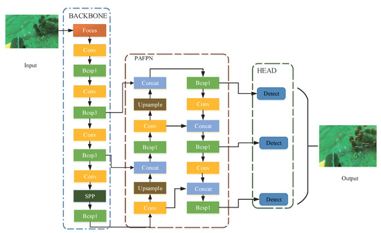 Detection Method of Marine Biological Objects Based on Image Enhancement and Improved YOLOv5S