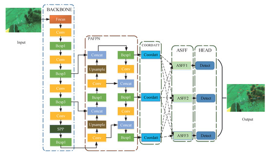 Detection Method of Marine Biological Objects Based on Image ...