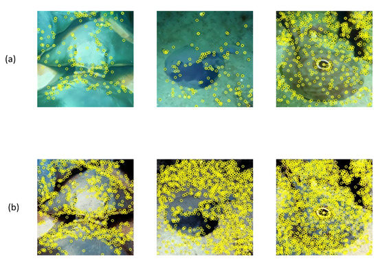Underwater Image Enhancement Based on Color Correction and Detail ...