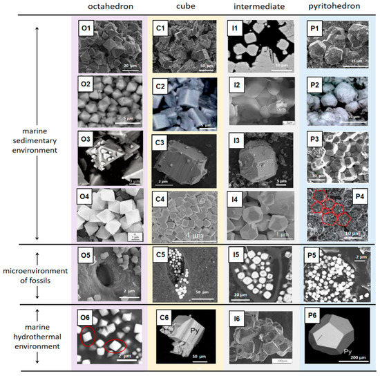 The Morphological Characteristics of Authigenic Pyrite Formed in Marine ...