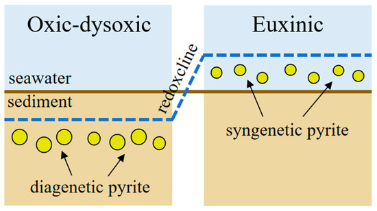 The Morphological Characteristics of Authigenic Pyrite Formed in Marine ...