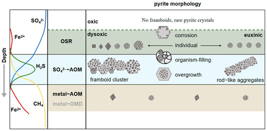 The Morphological Characteristics of Authigenic Pyrite Formed in Marine ...