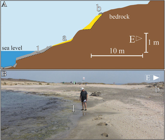 Beachrock Morphology along the Mediterranean Coast of Israel ...