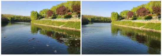 SMURF: A Fully Autonomous Water Surface Cleaning Robot with A Novel ...