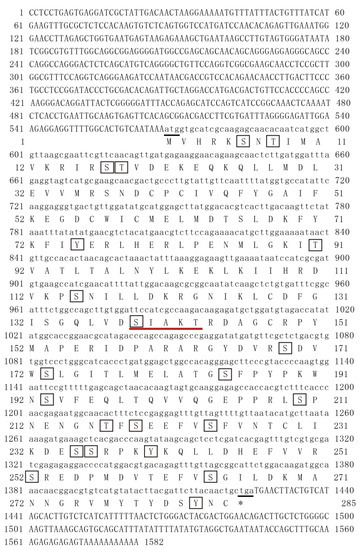 JMSE | Free Full-Text | Molecular Technology for Isolation and ...