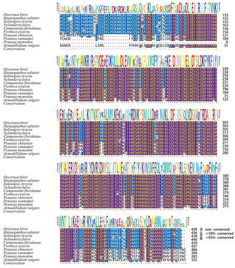 JMSE | Free Full-Text | Molecular Technology for Isolation and ...