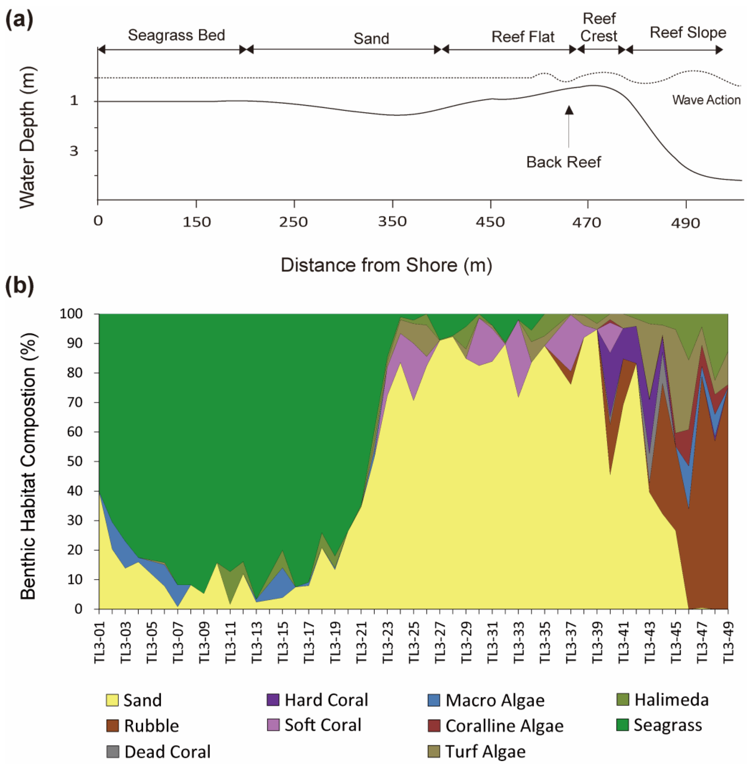 Estimation of the Benthic Habitat Zonation by Photo-Quadrat Image ...