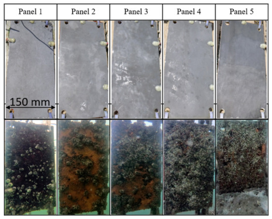 The Effects of Biofouling and Corrosion Products on Impressed Current ...