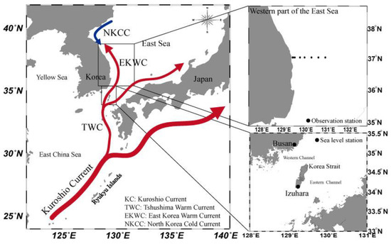Response of Spatial and Temporal Variations in the Kuroshio Current to ...