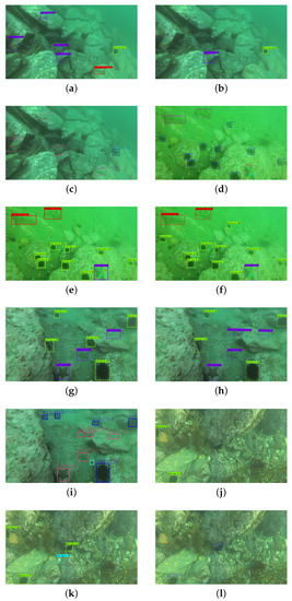 JMSE | Free Full-Text | B-YOLOX-S: A Lightweight Method for Underwater Object Detection Based on ...