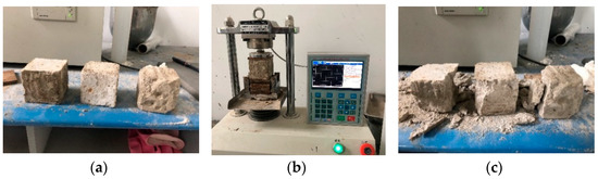 Typhoon-Resistant Performance Assessment of Coastal Rural Residential ...
