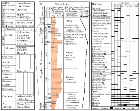 Sedimentology and Diagenesis of the Early–Middle Eocene Carbonate ...
