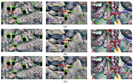 JMSE | Free Full-Text | High Speed and Precision Underwater Biological Detection Based on the ...