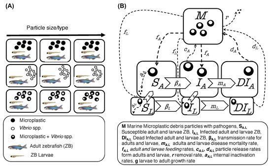 The Role of Microplastics in Marine Pathogen Transmission ...
