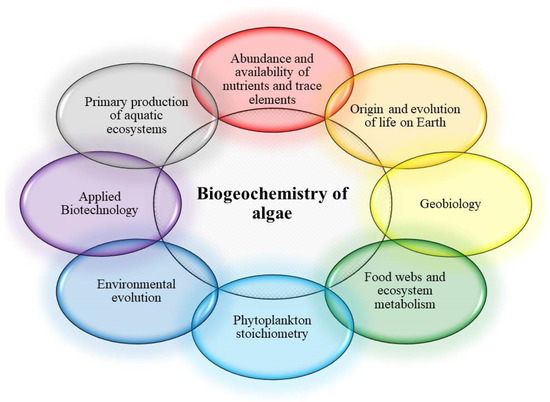 Biogeochemical Role of Algae in Aquatic Ecosystems: Basic Research and ...