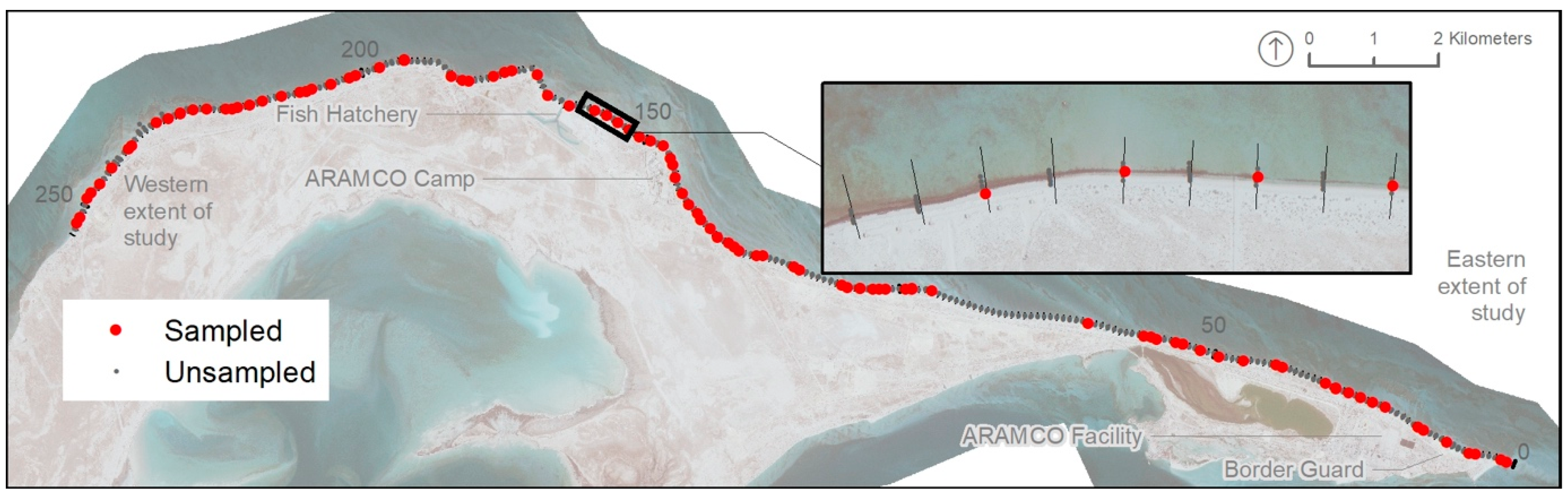 Forensic Analysis of Residual Oil along Abu Ali Island, Saudi Arabia