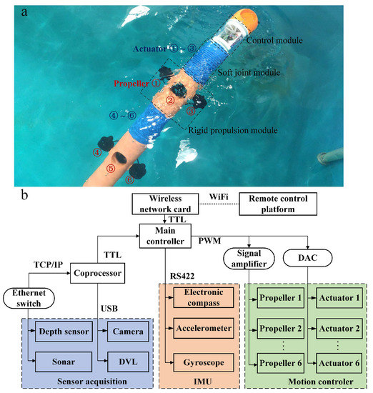 Dynamic Modeling of Underwater Snake Robot by Hybrid Rigid-Soft Actuation
