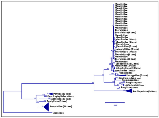 Initiating a DNA Barcoding Reference Library of Stony Corals from the ...