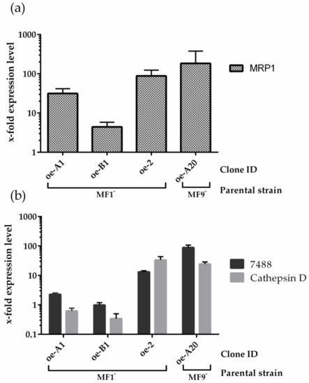 JMSE | Free Full-Text | Mate Perception and Gene Networks Regulating the Early Phase of Sex in ...