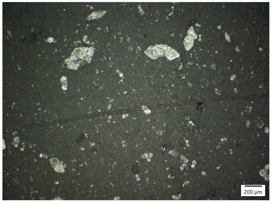 Sedimentary and Diagenetic Controls across the Cretaceous—Paleogene ...
