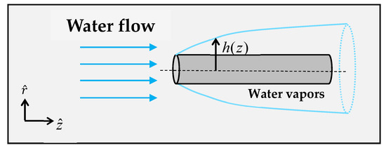 Analytical Description of an Axisymmetric Supercavitation Bubble in a ...