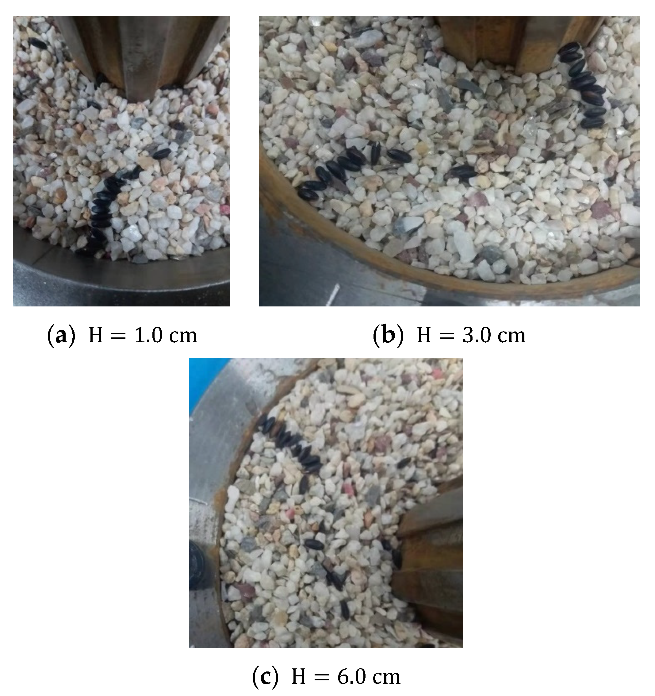 A Study on the Law of Ring-Shear Band Evolution