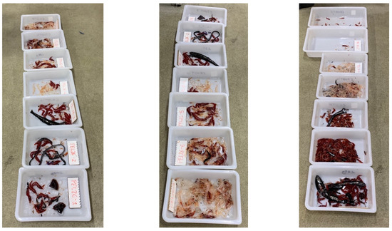VERDA: A Multisampler Tool for Mesopelagic Nets
