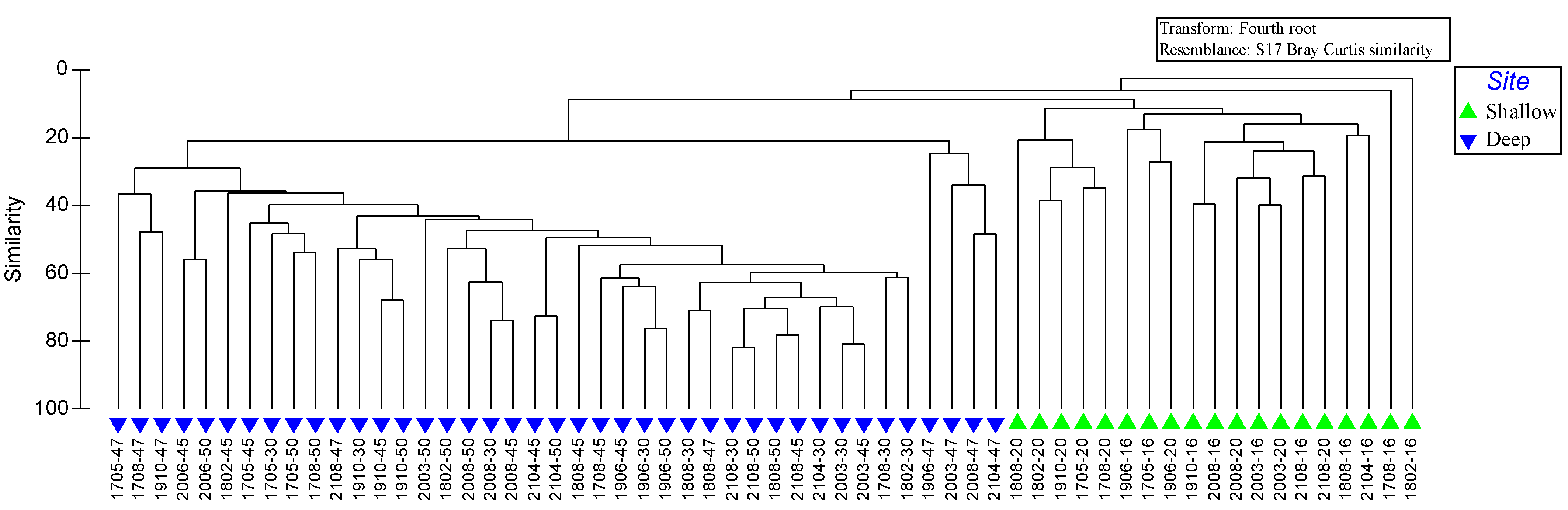 Species Diversity and Community Structure of Macrobenthos in the ...