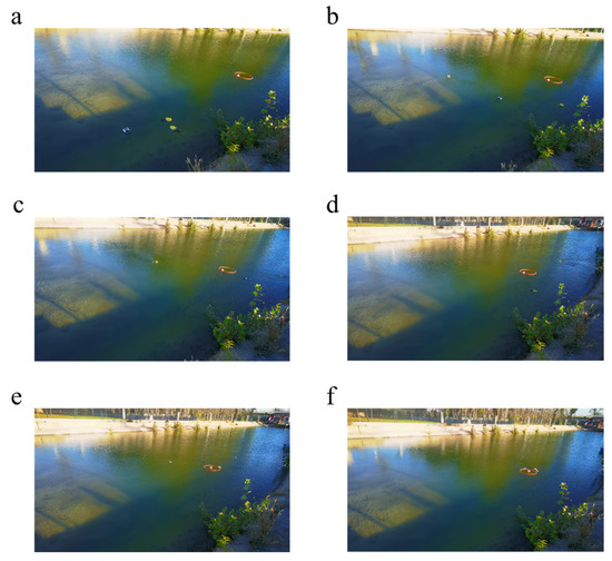 Jmse Free Full Text Swarm Game And Task Allocation For Autonomous Underwater Robots
