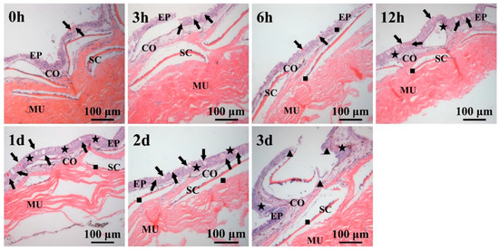 Pathology, Enzyme Activity and Immune Responses after Cryptocaryon ...