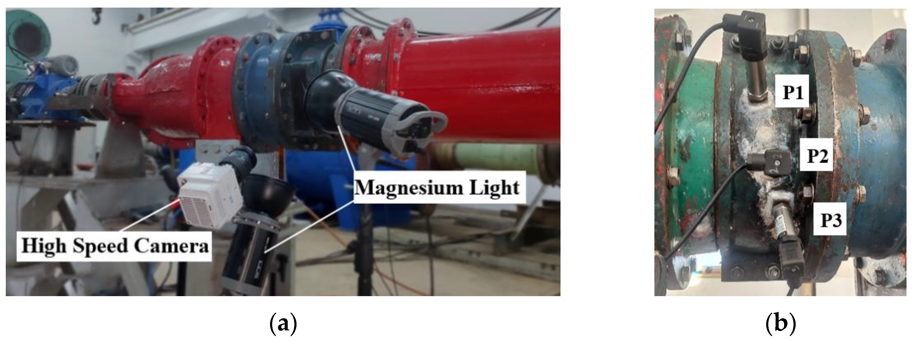 The Analysis of Cavitation Flow and Pressure Pulsation of Bi ...