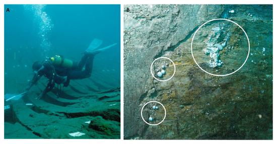 Can a 16th Century Shipwreck Be Considered a Mercury Source in the 21st ...