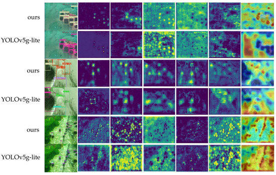 Jmse Free Full Text Underwater Target Detection Lightweight Algorithm Based On Multi Scale