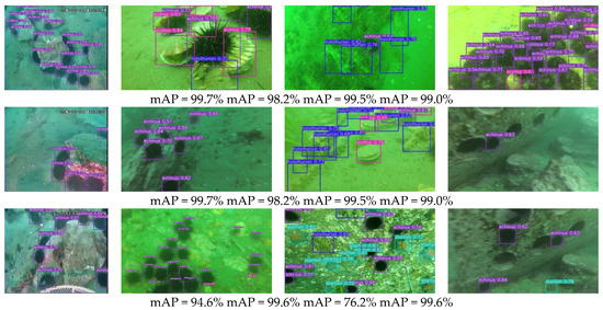 Underwater Target Detection Lightweight Algorithm Based on Multi-Scale Feature Fusion