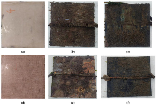 Epoxy Resin Biocomposites Reinforced with Flax and Hemp Fibers for ...
