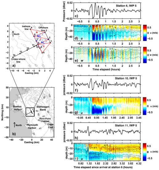 Seabed Dynamic Responses Induced by Nonlinear Internal Waves: New Insights and Future Directions