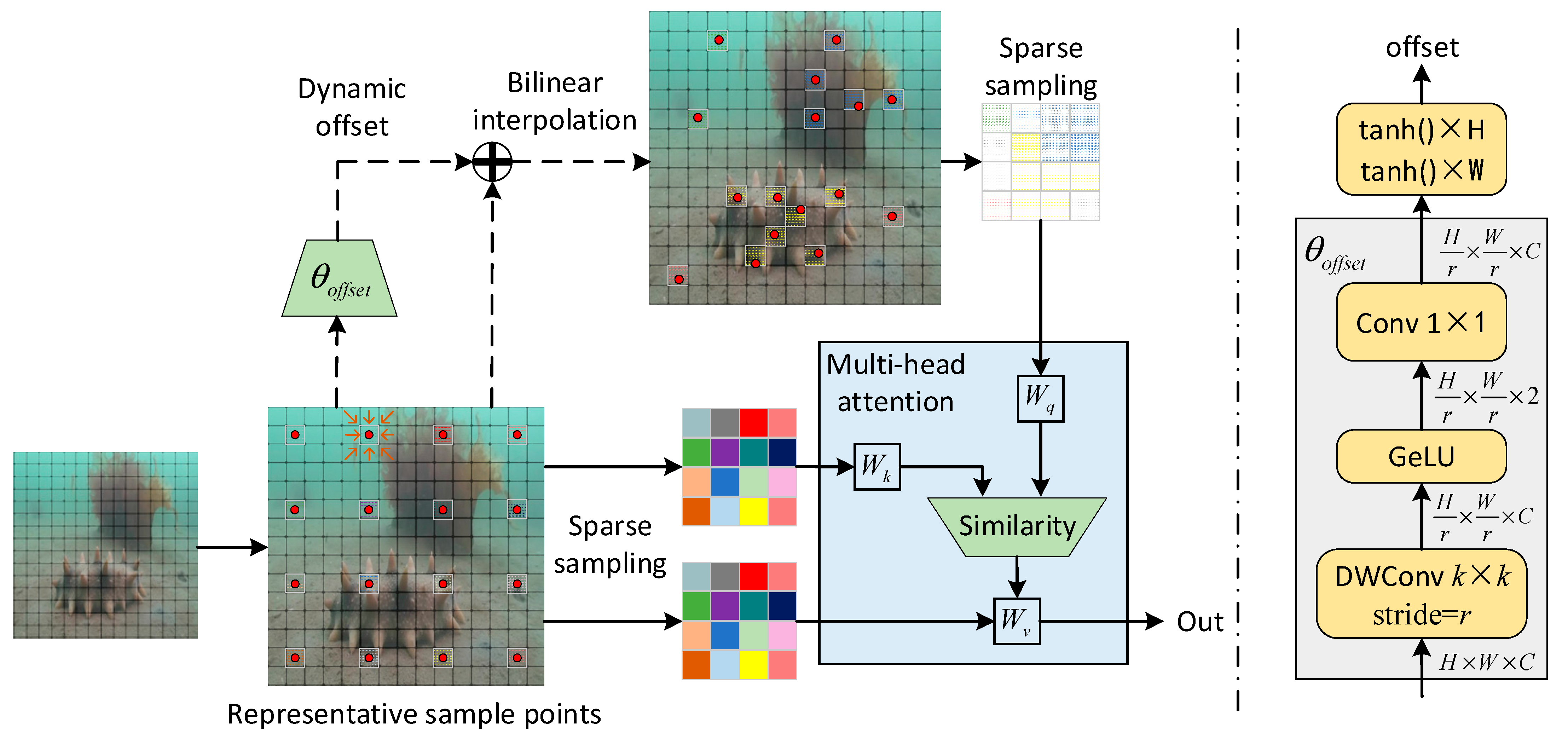 Lightweight Underwater Target Detection Algorithm Based on Dynamic Sampling Transformer and ...