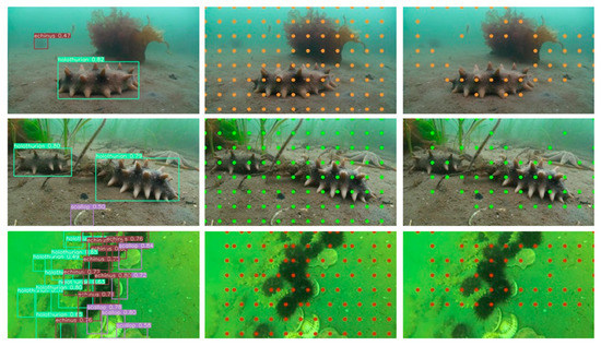 Lightweight Underwater Target Detection Algorithm Based on Dynamic Sampling Transformer and ...