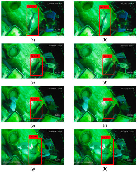JMSE | Free Full-Text | An Improved Tuna-YOLO Model Based on YOLO v3 ...