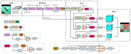 A Real-Time Fish Target Detection Algorithm Based on Improved YOLOv5
