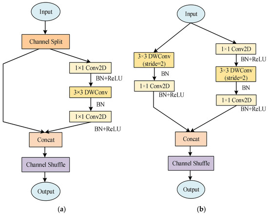 A Real-Time Fish Target Detection Algorithm Based on Improved YOLOv5