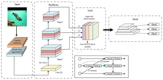 A Real-Time Fish Target Detection Algorithm Based on Improved YOLOv5