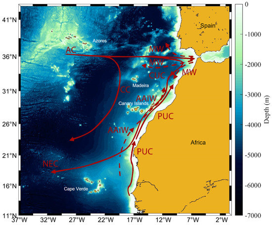 Canary Current Map