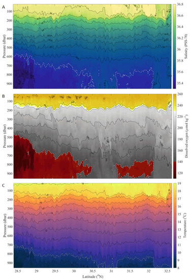 A Glider View of the Spreading and Mixing Processes of Antarctic ...