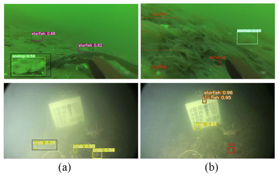 Underwater Target Detection Based on Improved YOLOv7