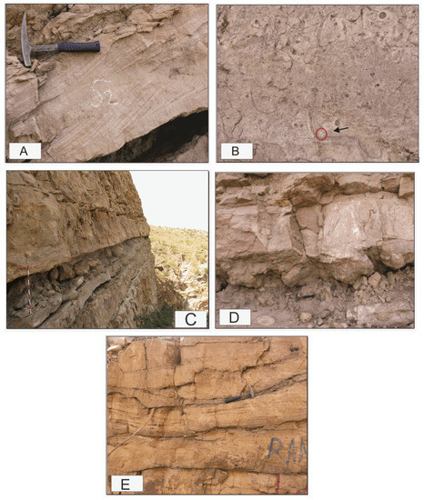 Sedimentary Facies, Architectural Elements, and Depositional ...