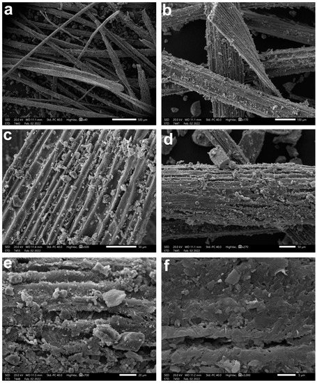 Posidonia oceanica Balls (Egagropili) from Kefalonia Island Evaluated ...
