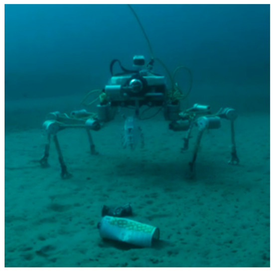 User-Driven Design and Development of an Underwater Soft Gripper for Biological Sampling and ...